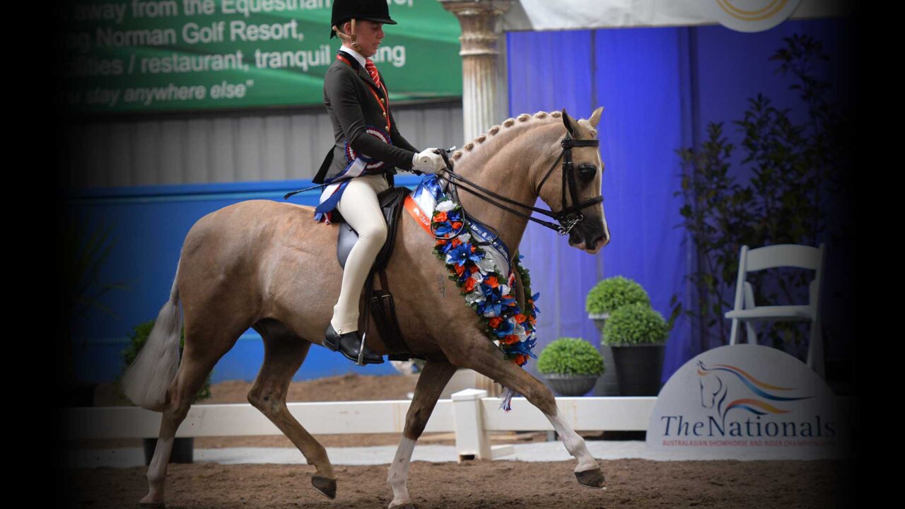 2025 Southern Cross Feeds EA Australasian Show Horse and Rider ...