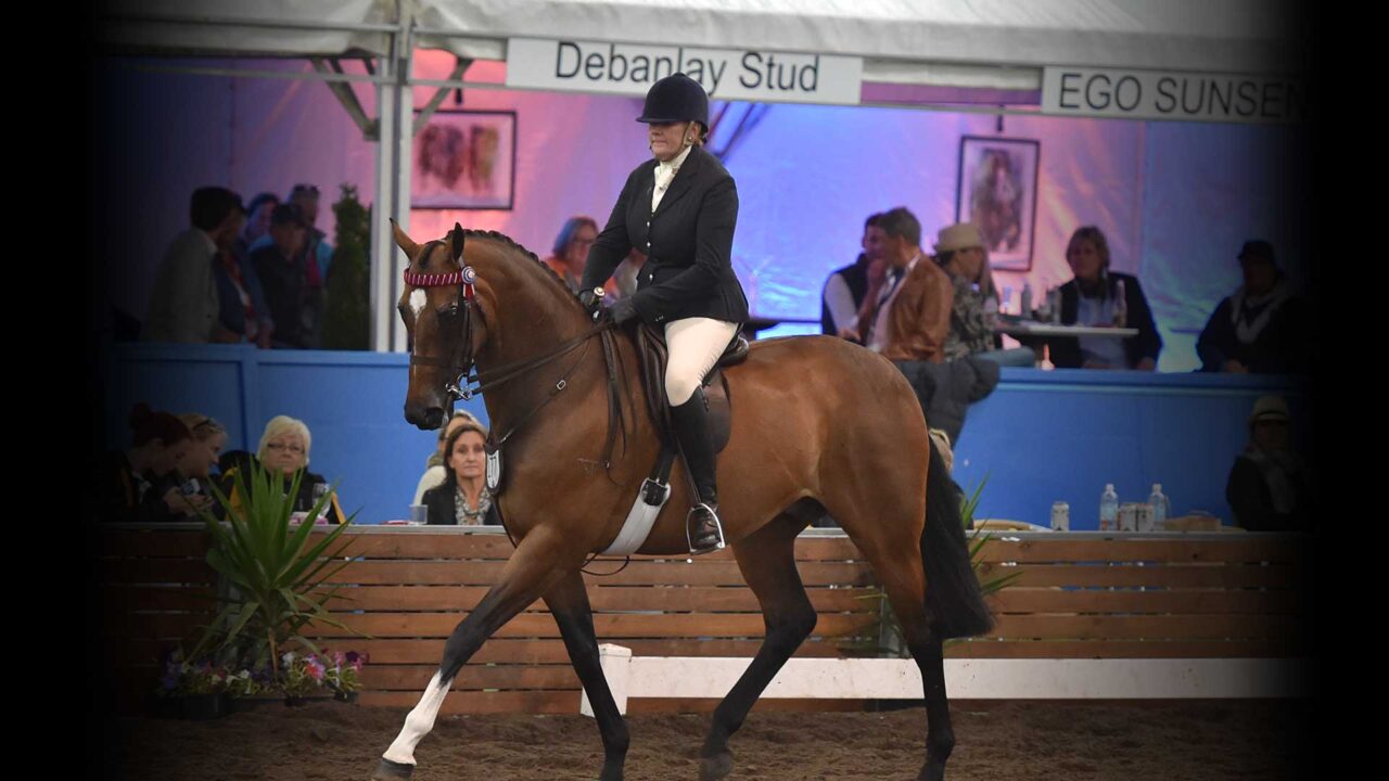 2025 Southern Cross Feeds EA Australasian Show Horse and Rider ...